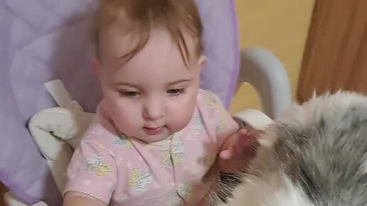 Записки разведчика | video_2023-06-02_15-05-55 | Дзен