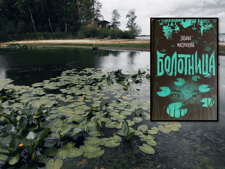 Страшно, аж жуть. Книга "Болотница" от которой не могла оторваться ...