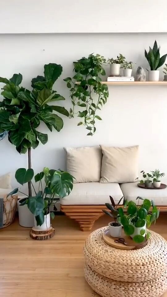 Как создать идеальную гостинную: советы по организации пространства и ...