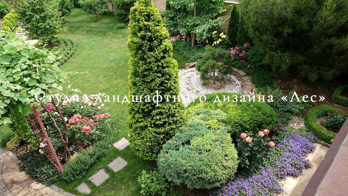 Туи в ландшафтном дизайне. | Студия ландшафтного дизайна "ЛЕС" | Дзен