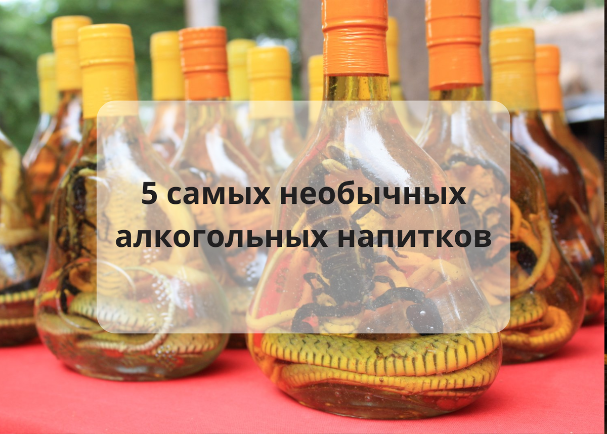 Шок контент 5 самых необычных алкогольных напитков поражающих