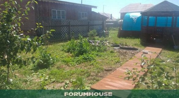 Деревянные дорожки: популярные виды, опыт форумчан | FORUMHOUSE | Дзен