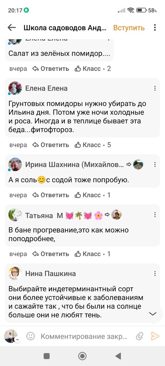 Не работают "народные" средства против фитофтороза! | Сад Жизни | Дзен