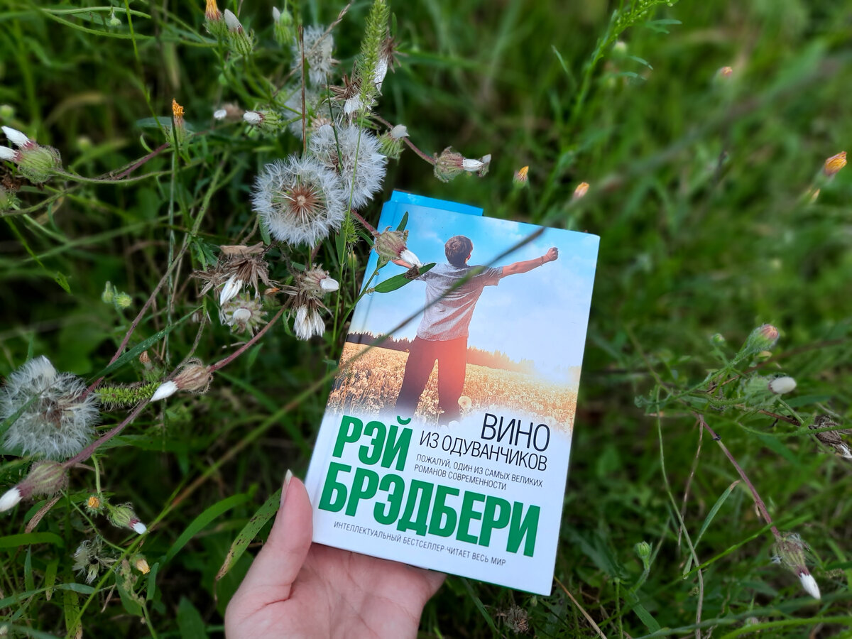 Рецензия на роман о лете и детстве "Вино из одуванчиков" Рэя Брэдбери ...