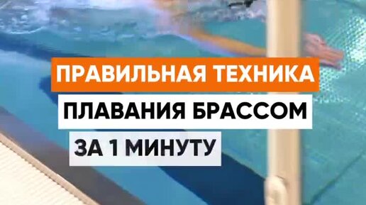 Школа плавания Swimrocket Твоя правильная техника брасса ждет тебя