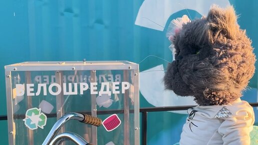 Берта и Ко Вся правда о куклах😅 бертаико чревовещатель куклы