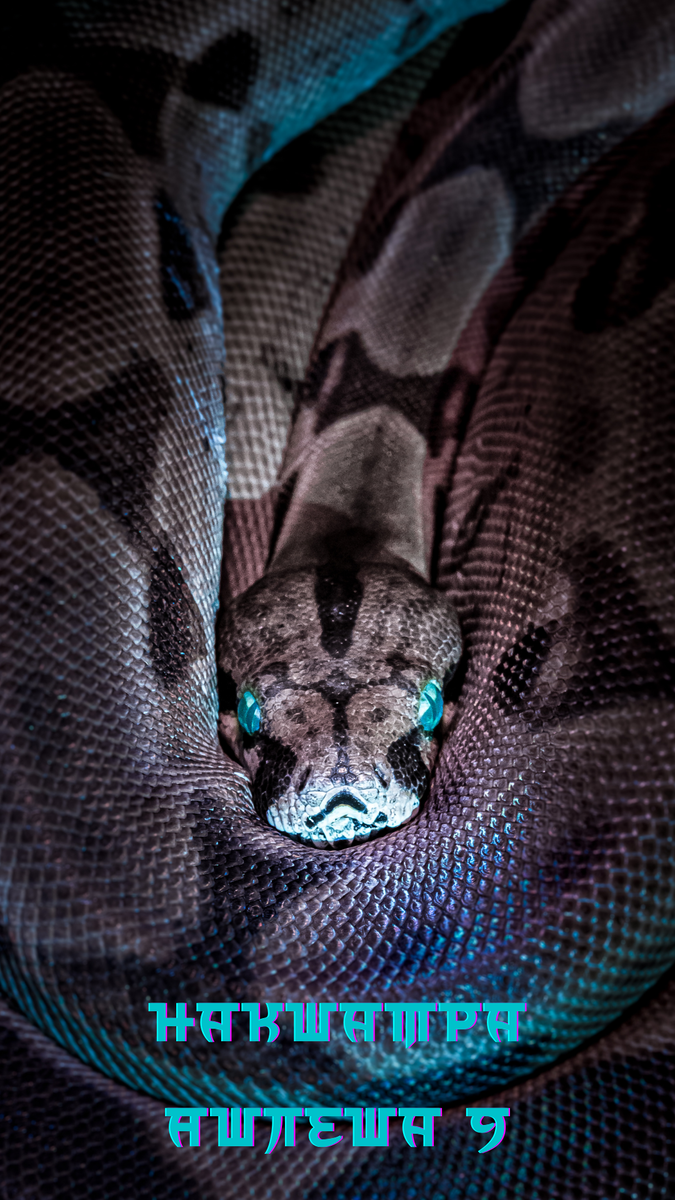 Новолуние в Раке в накшатре Ашлеша 16 августа 2023 г. Тройная ганданта ...