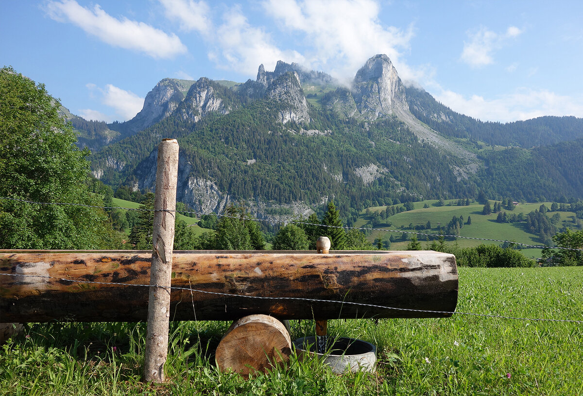 Страна тысячи замков: едем в швейцарский Оберхофен | Не галопом по ...