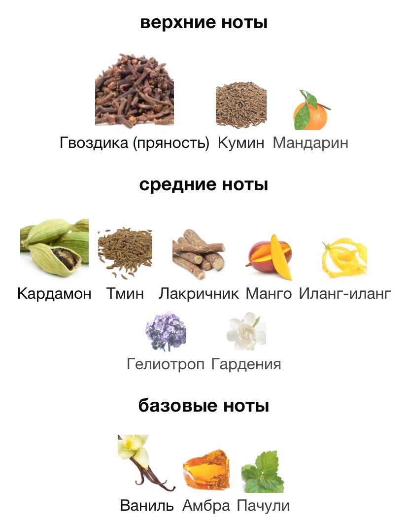 Лучшие ароматы от подписчиков за август. | Пс, нишу надо? | Дзен