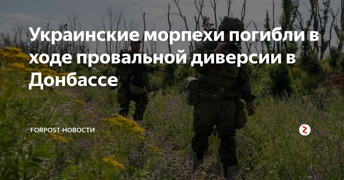 Украинские морпехи погибли в ходе провальной диверсии в Донбассе