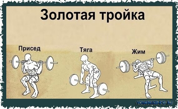 Самые эффективные базовые упражнения МАСТЕРСКАЯ ЗОЖ ПУТЬ К