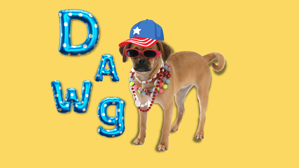 «Hey dawg!»: разбираем примеры американского сленга | Englishland | Дзен