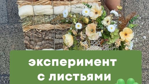 Александр Поляшов | Как вам результат? Жду всех на бесплатном эфире - https://aleksandr ...