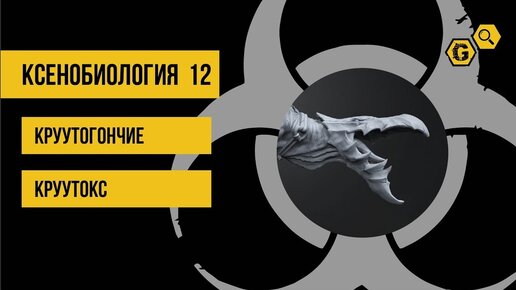 Круутогончая. Круутокс. Warhammer 40000_ Ксенобиология #12 | Gexodrom | Дзен