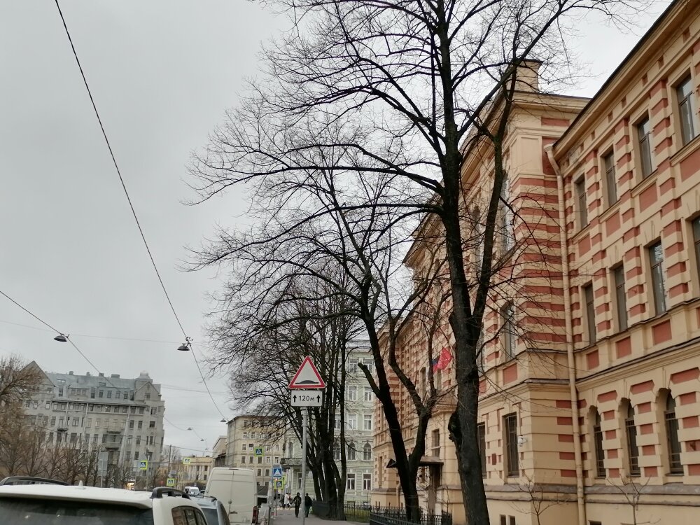 Чувство петербургских Песков. Почему сюда влечет | Поближе к Петербургу ...