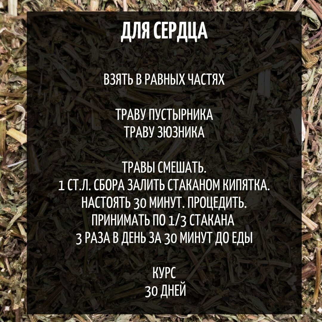 Зюзник - успокаивающая трава | Травник Кайгородов | Дзен