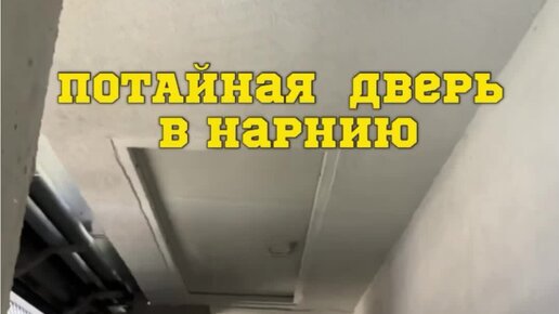 MrNadzor | Ролик от 24.07.2023 продолжительностью 18 сек. | Дзен