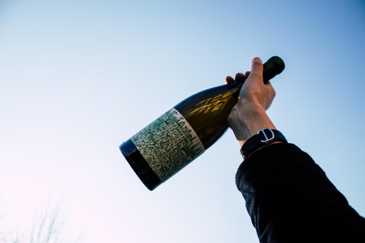 10 советов для тех, кто начинает собирать свою винную коллекцию ...