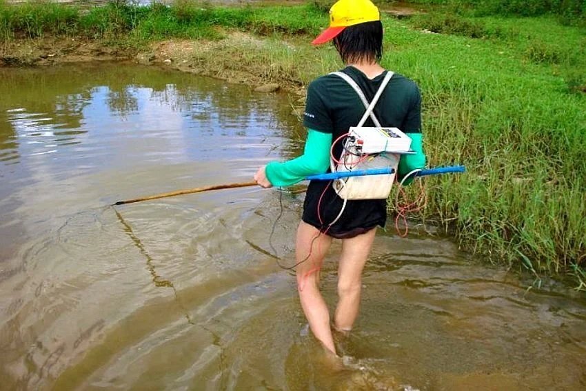 Вот что происходит с рыбой и водоёмом после использования электроудочки ...