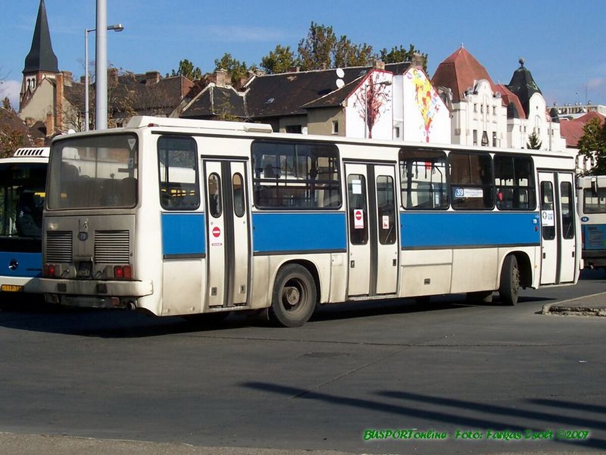 Икарусы семейства 200. Часть 1 (208 - 247) | НПАП №1 Икарус | Дзен