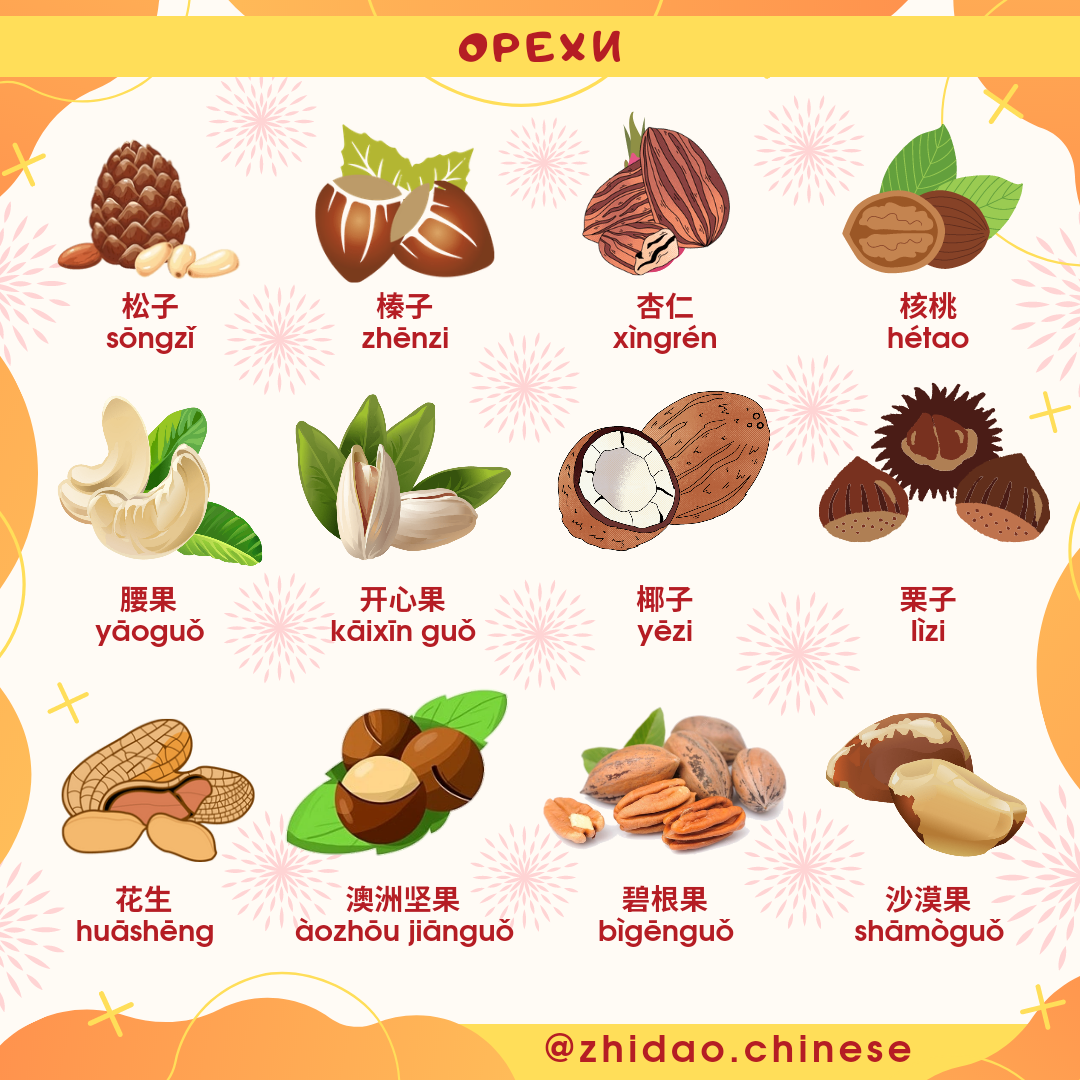 Шпаргалка: Орехи (坚果) 🌰 | Китайский язык Zhidao.Chinese | Дзен