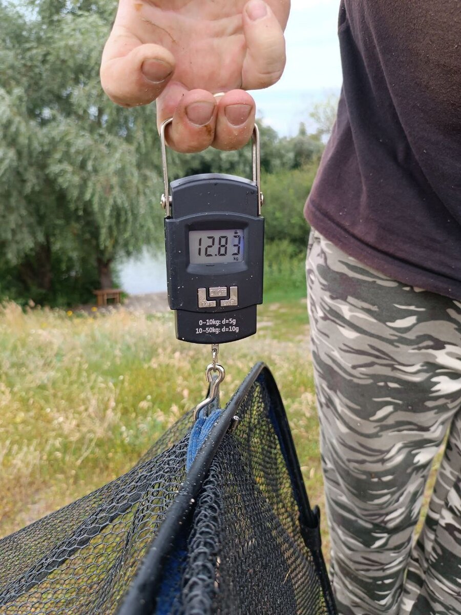 Воронеж Дон лещ | Рыбалка Черноземье | Дзен