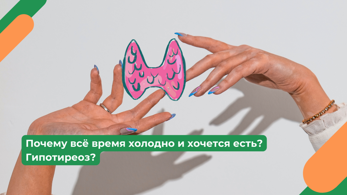 Гипотиреоз почему всё время холодно и хочется есть Доктор Кутушов