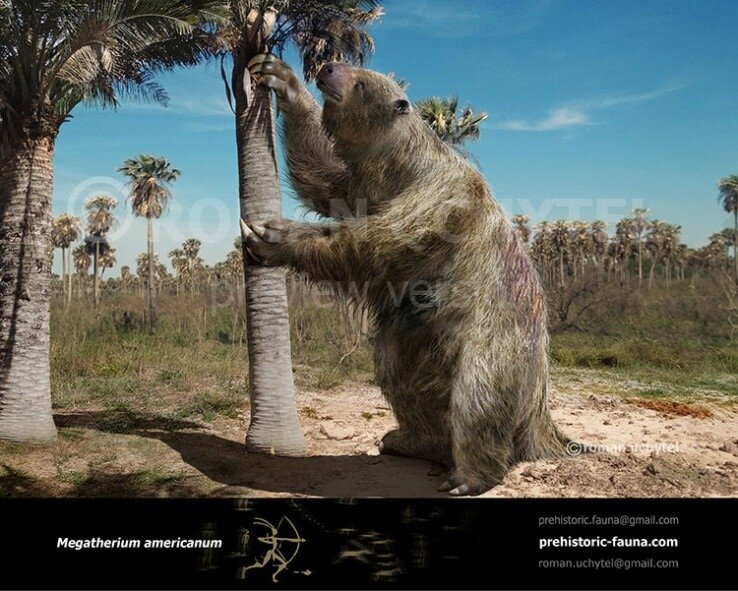 Мегатерий (Megatherium) – огромный ленивец размером со слона. | Paleo-end-arthropods ...