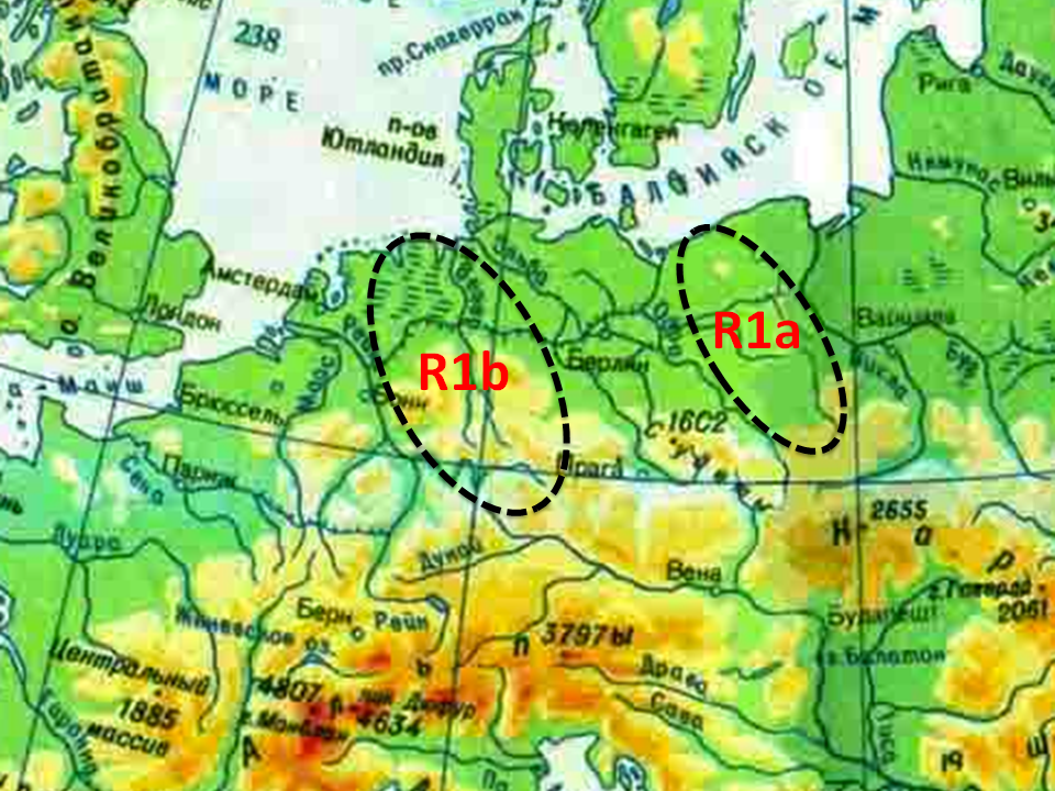 R1a и R1b. Тайна двух резерваций | Хроники и легенды | Дзен