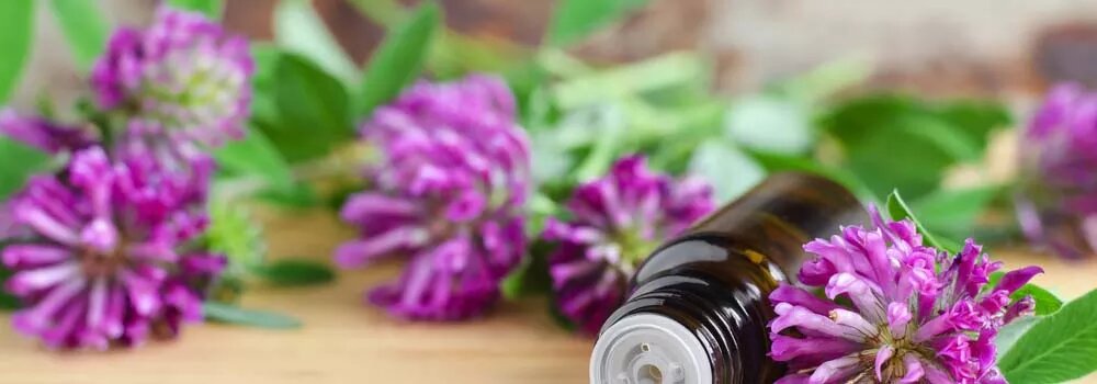 Фитоэстрогены для женщин - новая жизнь после 50! | Фитомаркет ...