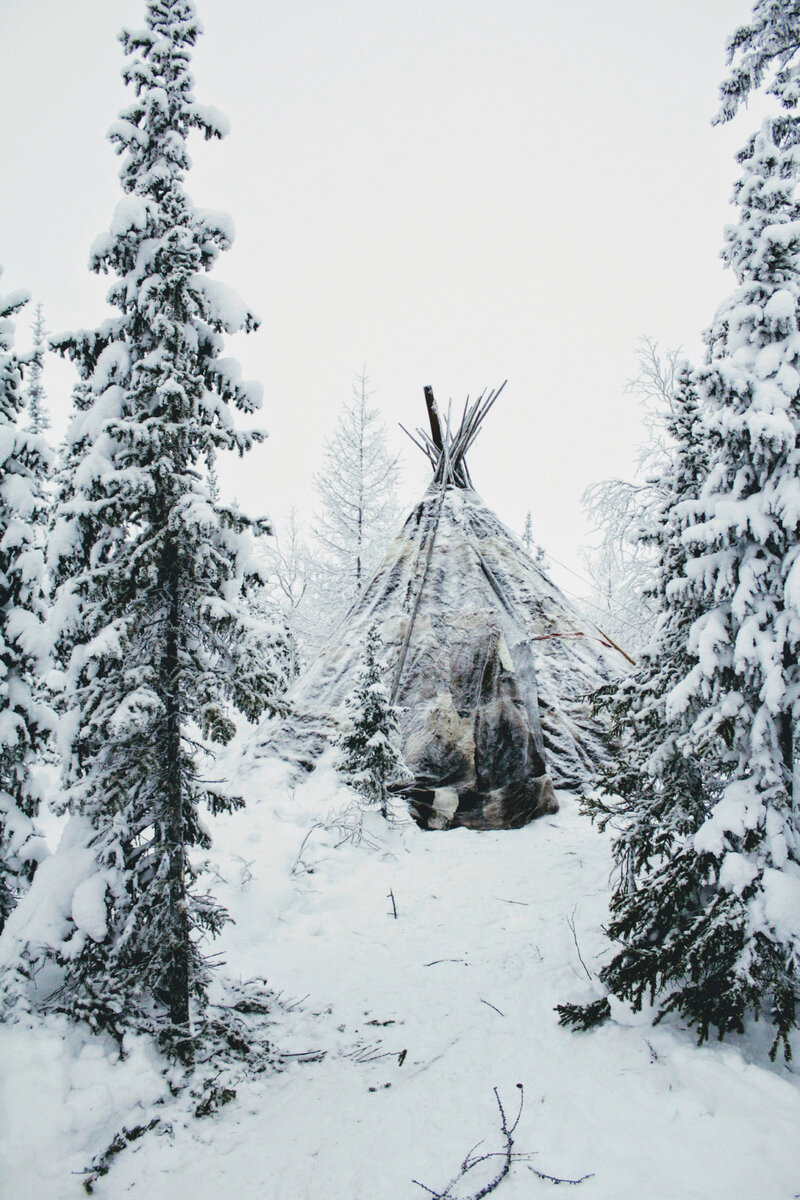 Легенда о Сихиртя - кто жил на Ямале до людей. | DiscoverYamal | Дзен