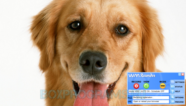 Лучшие программы для записи видео с экрана компьютера | Программы для пк скачать бесплатно ...