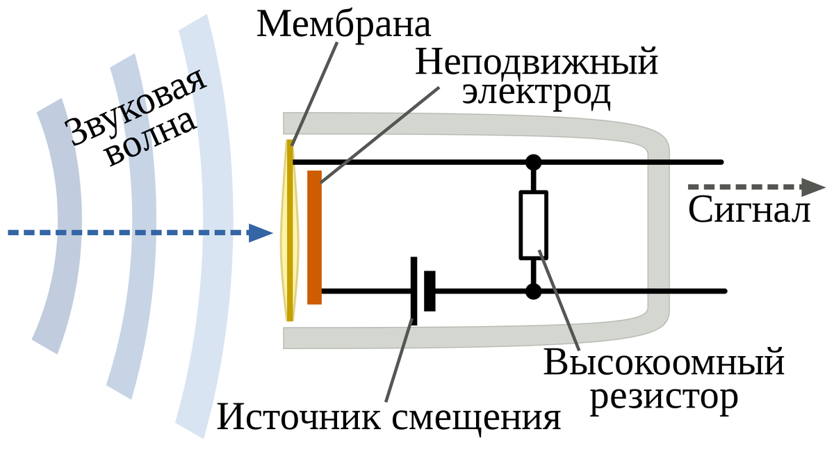 Микрофон его краткая история и разновидности. | Рубка Production или ...
