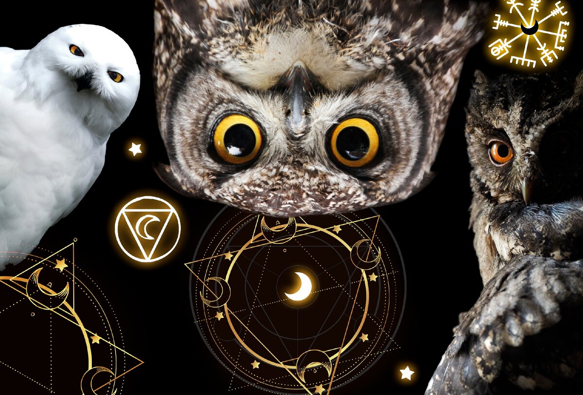 Волшебный талисман - сова Значение и магия символа в оберегах и ...