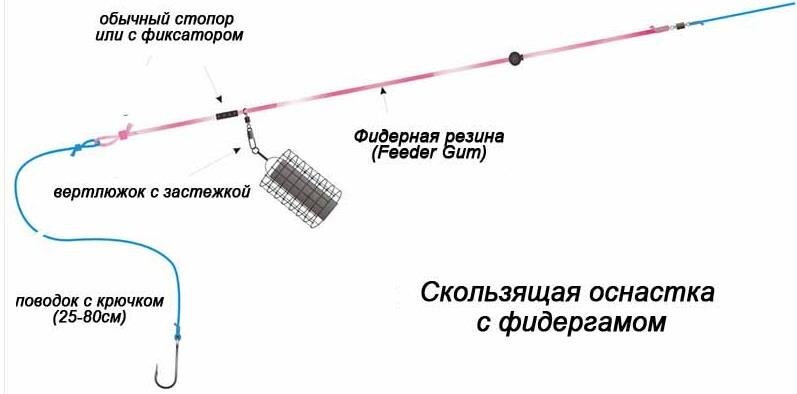 Фидерная резина (фидергам) советы начинающим | Дзен рыбака | Дзен
