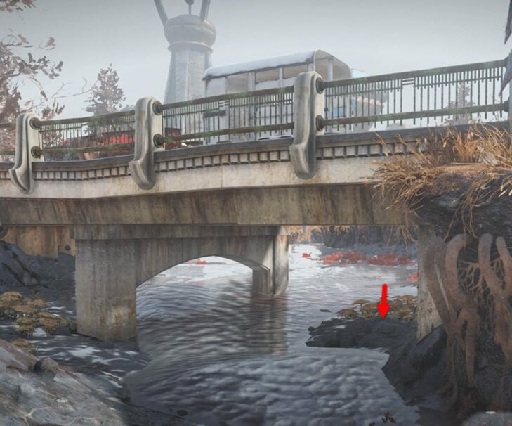 Fallout 76. Все сокровища клюквенного болота (+ видео) | Turtles ...