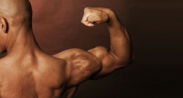 Упражнения на ПЛЕЧИ с собственным весом | Честно о спорте | Дзен