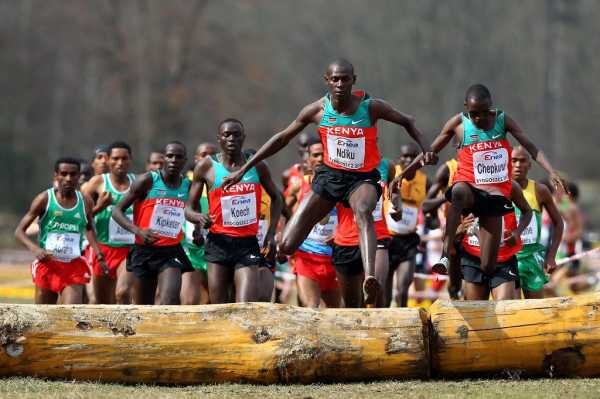 Кроссовый бег. Описание и техника | Смотри глубже | Дзен