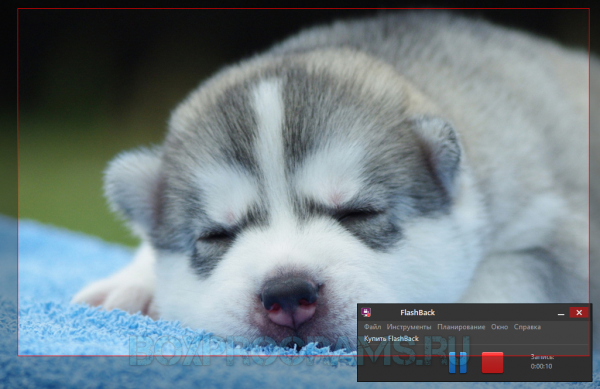Лучшие программы для записи видео с экрана компьютера | Программы для пк скачать бесплатно ...