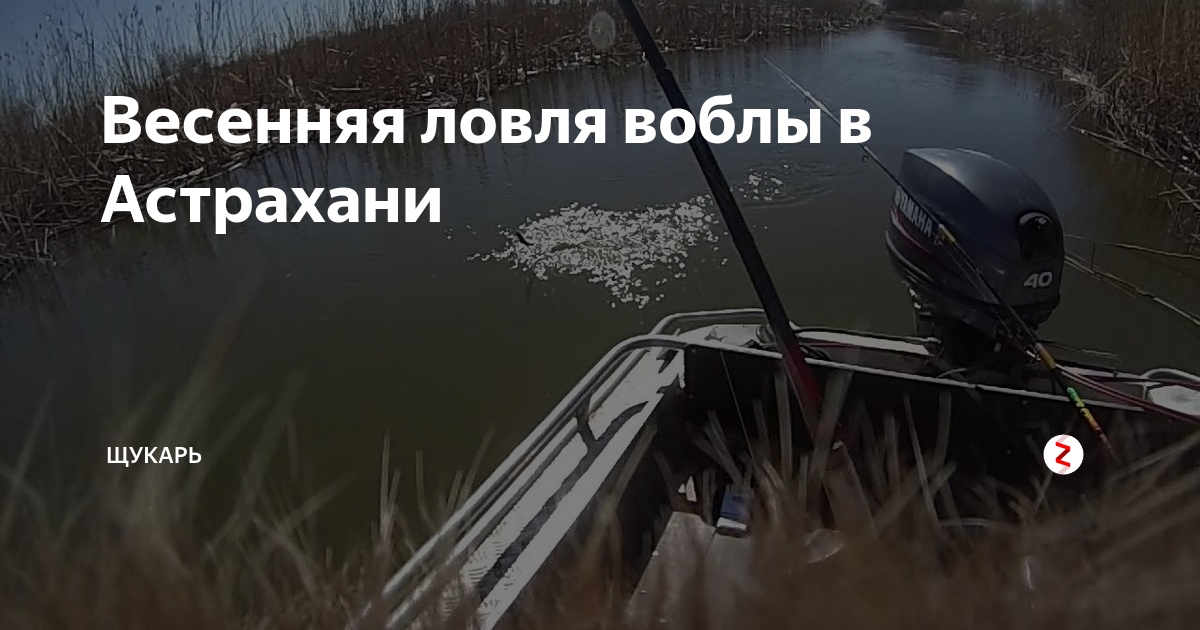 Весенняя ловля воблы в Астрахани | Щукарь | Дзен
