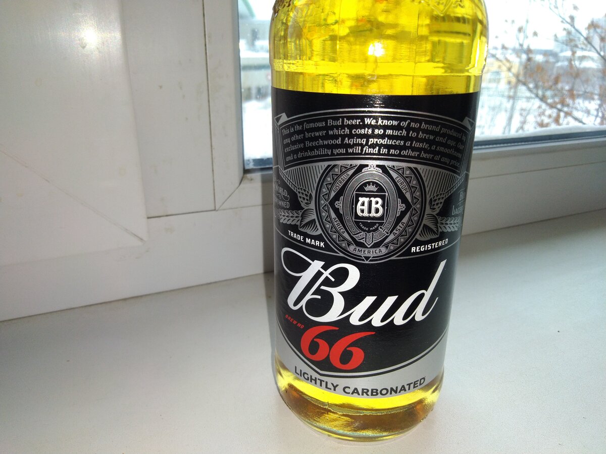 Новое пиво "BUD 66" из магазина "Монетка". Что это и для кого? Выясняем ...