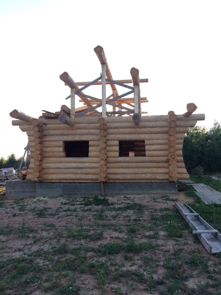 Увидел синеву на срубе Спокойно это не плесень Forumhouse Дзен