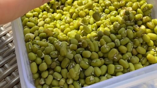 Робинзон и Пятница | Белковое печенье #рецептыеды | Дзен