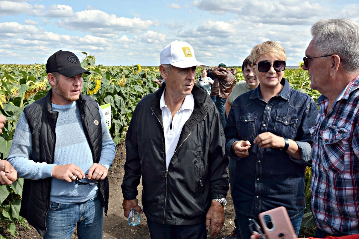 Отечественные гибриды подсолнечника вытесняют импортные на полях Южного ...