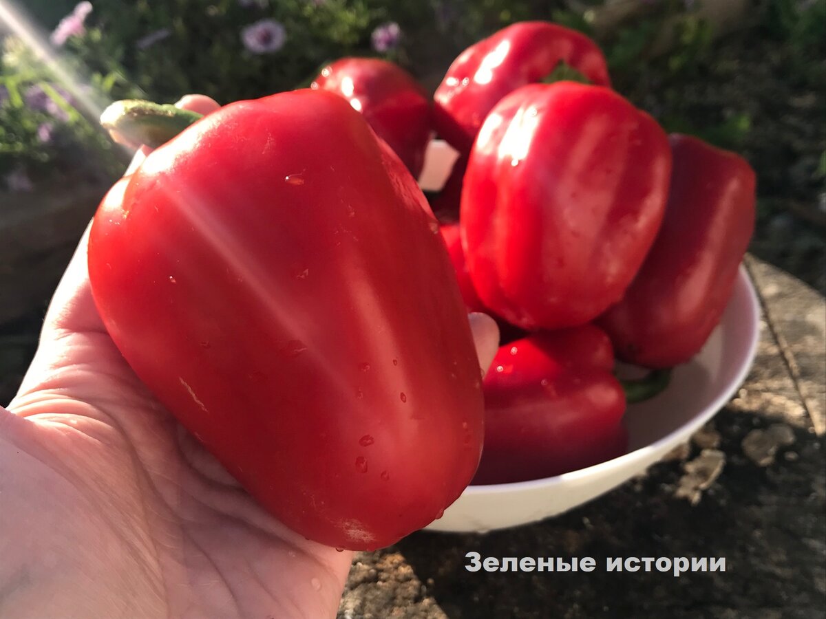 Быстрый рецепт лечо без уксуса и сахара - 1 час и всё готово | Зелёные ...