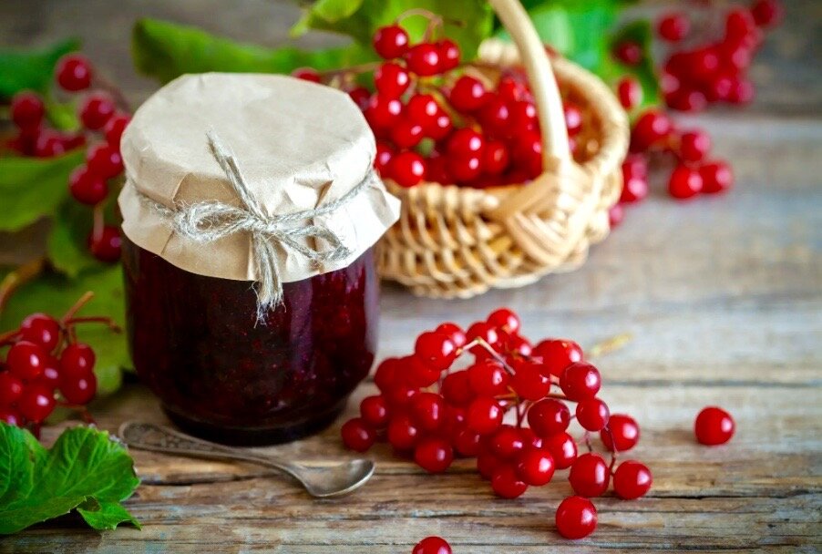 Осенние заготовки: Сибирский мед из калины. Деликатное желе из ...