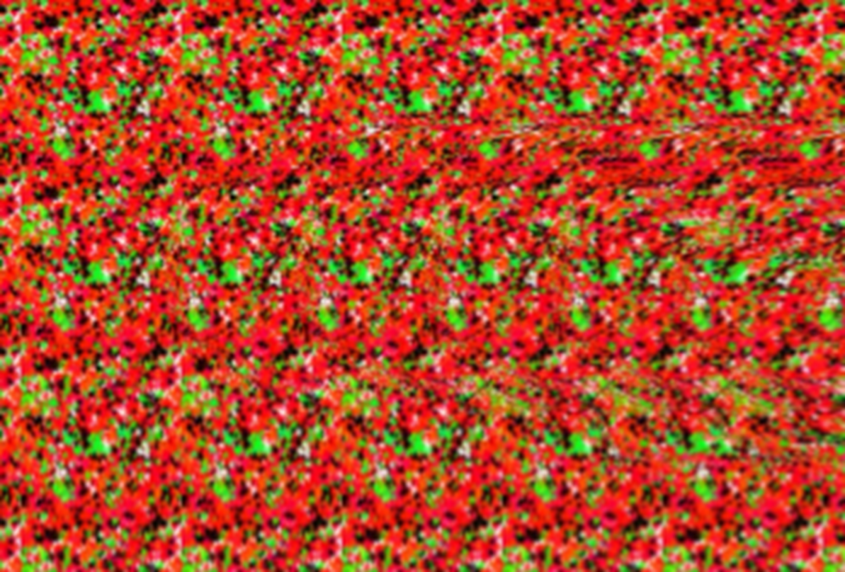 Сделай сам стереокартинку | Пора отдохнуть | Дзен