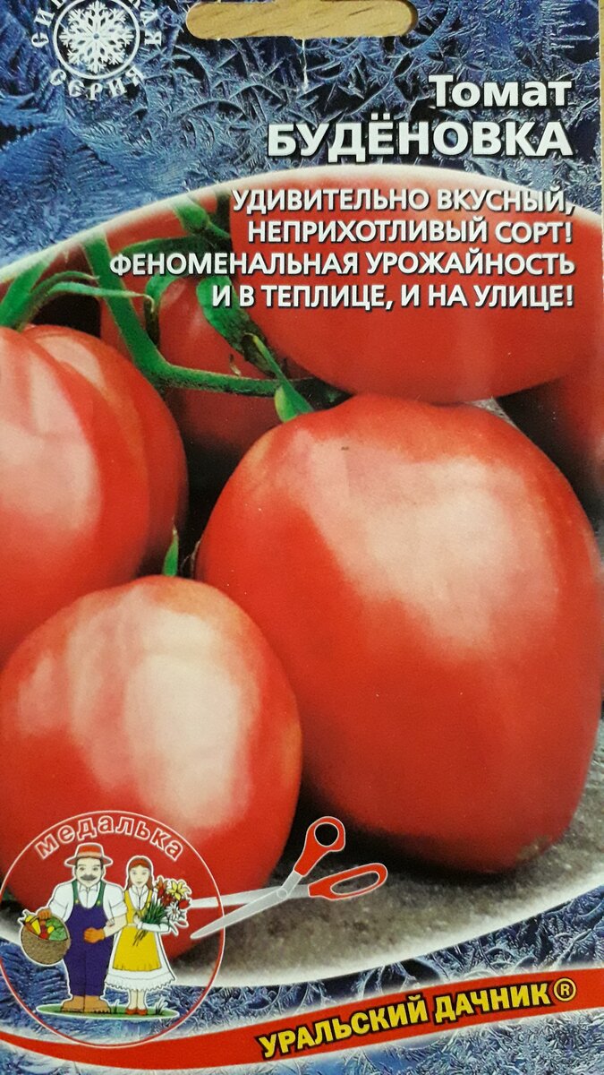 Мои любимые сорта томатов для теплицы в Сибири. | Сибирский огород | Дзен