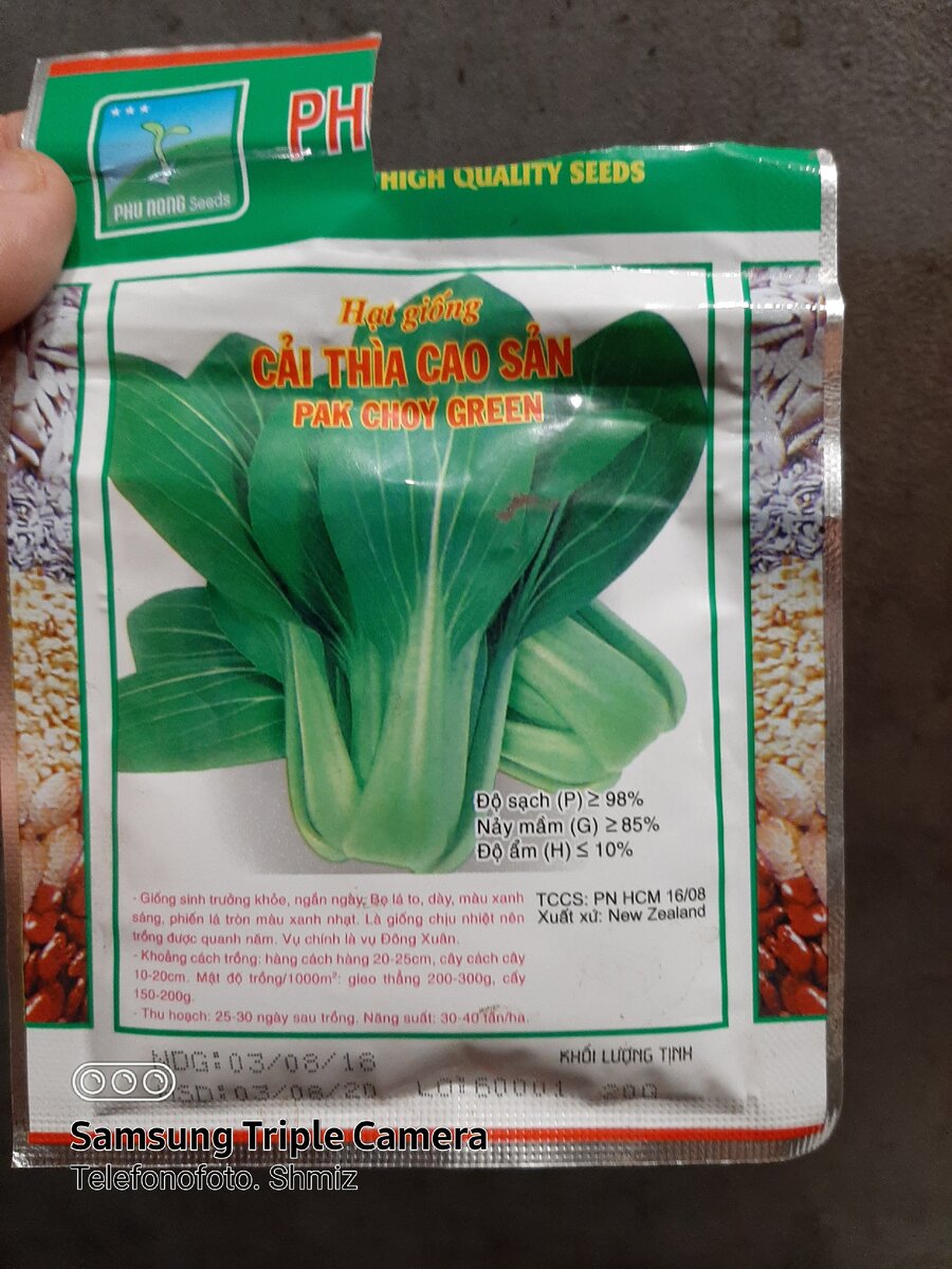 Пок-чой, что за зверь такой? | Сад-огород в Сибири | Дзен