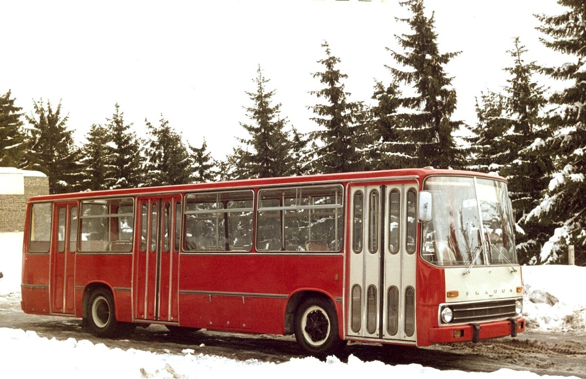 Икарусы семейства 200. Часть 1 (208 - 247) | НПАП №1 Икарус | Дзен